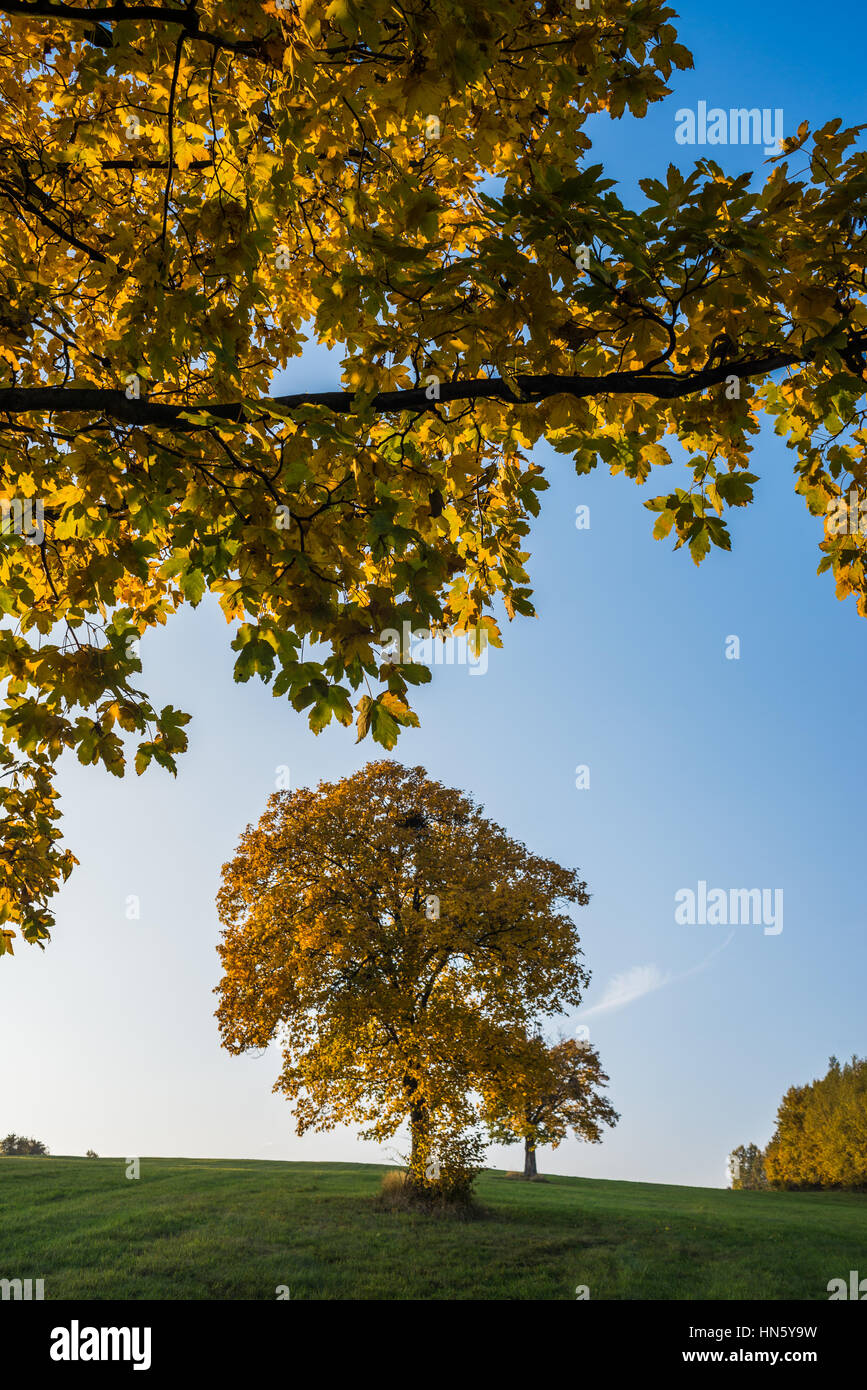 autumn landscape with colorful trees, Moravia, Czech republic, Europe ...