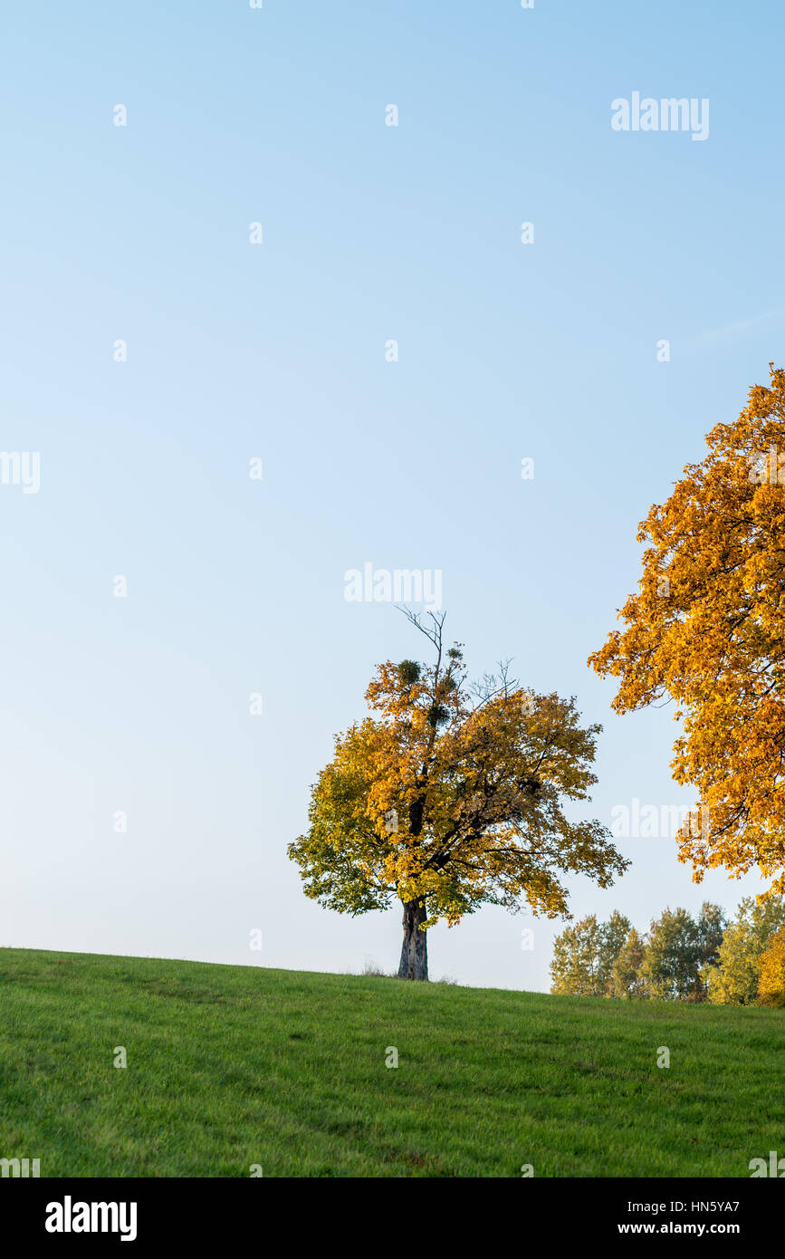 autumn landscape with colorful trees, Moravia, Czech republic, Europe ...
