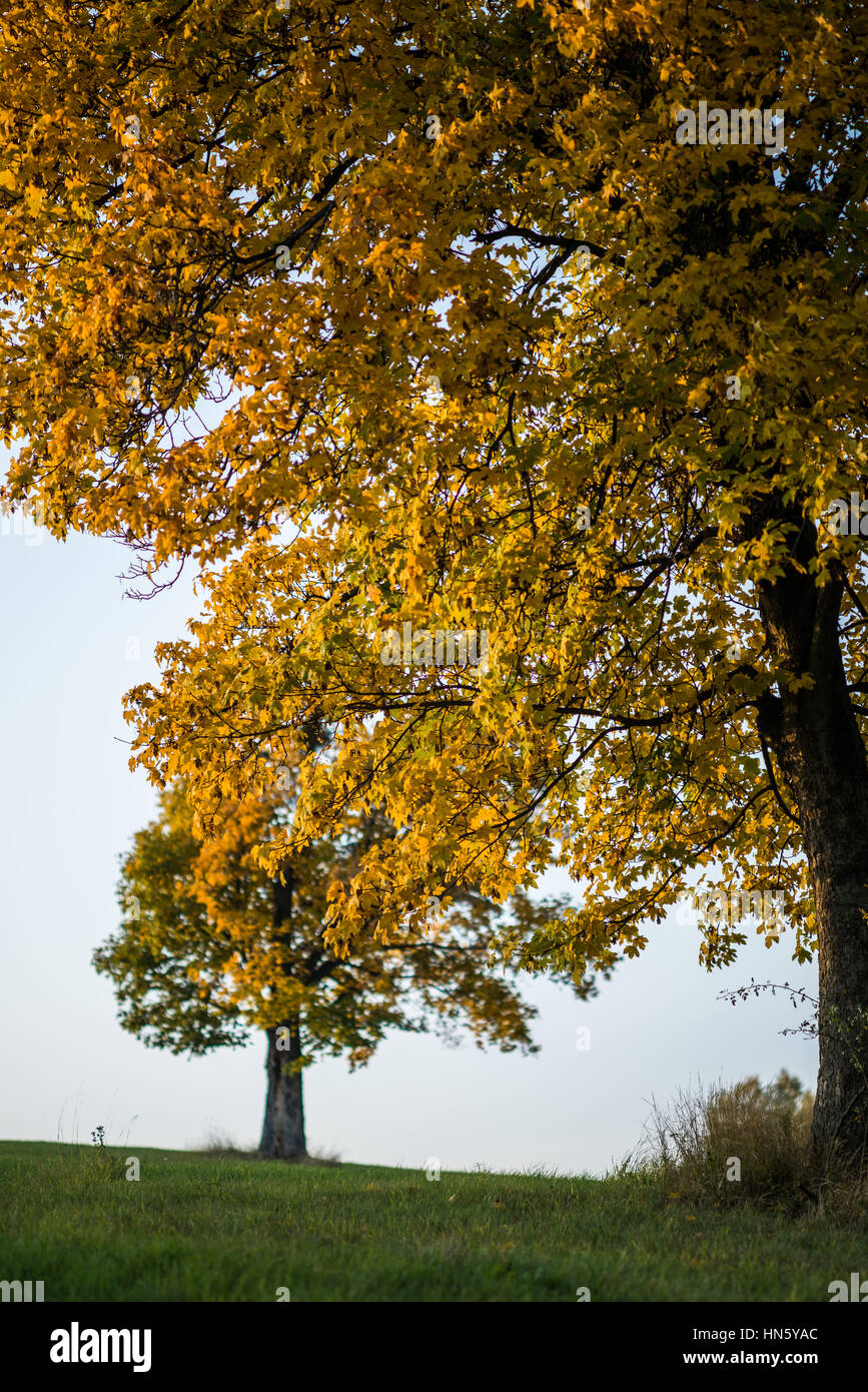 autumn landscape with colorful trees, Moravia, Czech republic, Europe ...
