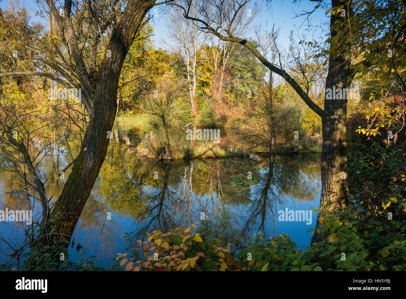 autumn landscape with colorful trees mirrored in the lake, Moravia ...