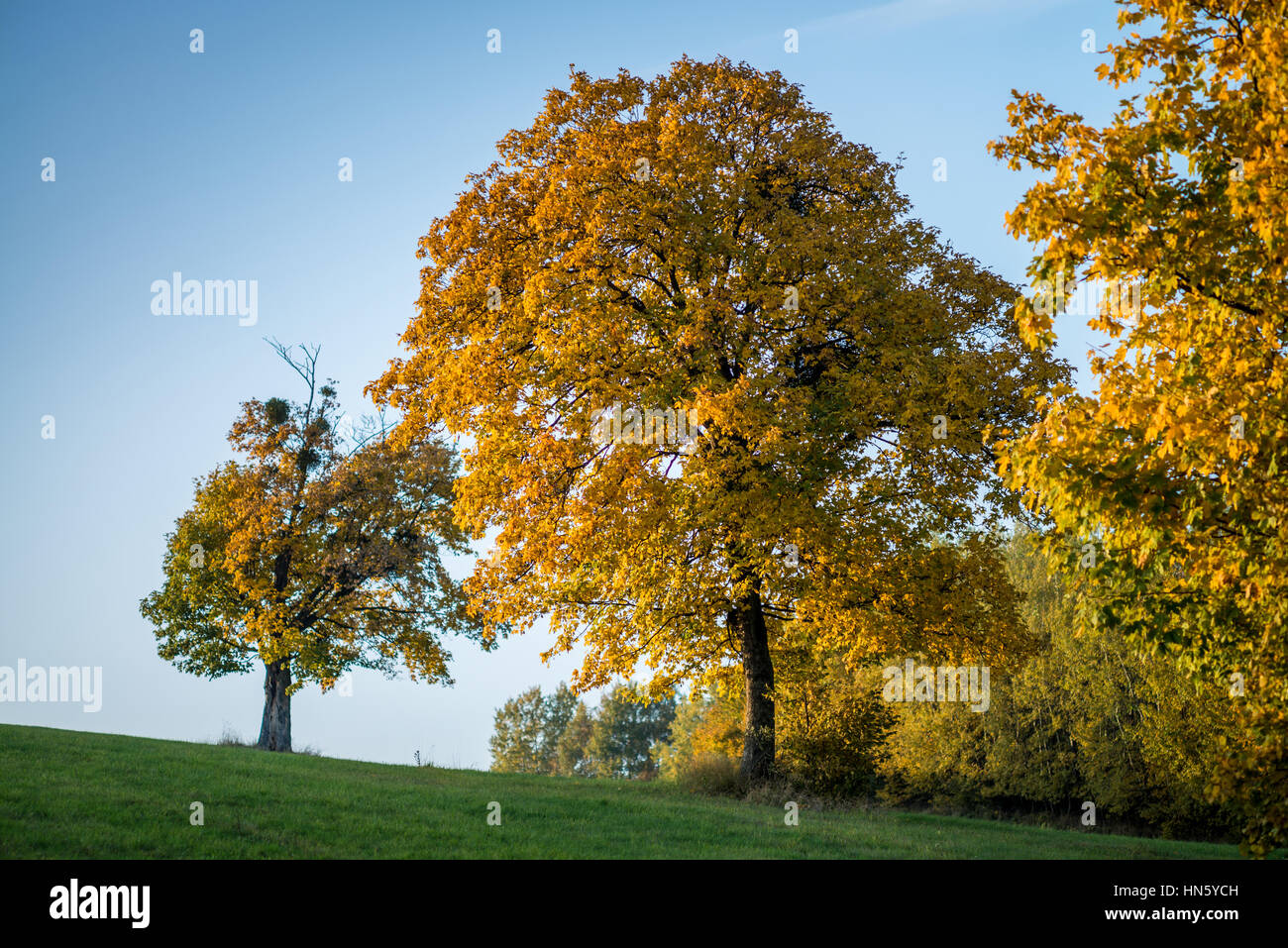 autumn landscape with colorful trees, Moravia, Czech republic, Europe ...
