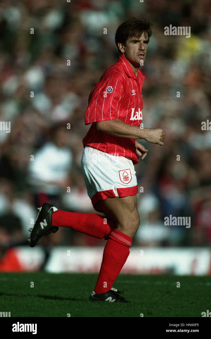 David phillips forest hi-res stock photography and images - Alamy