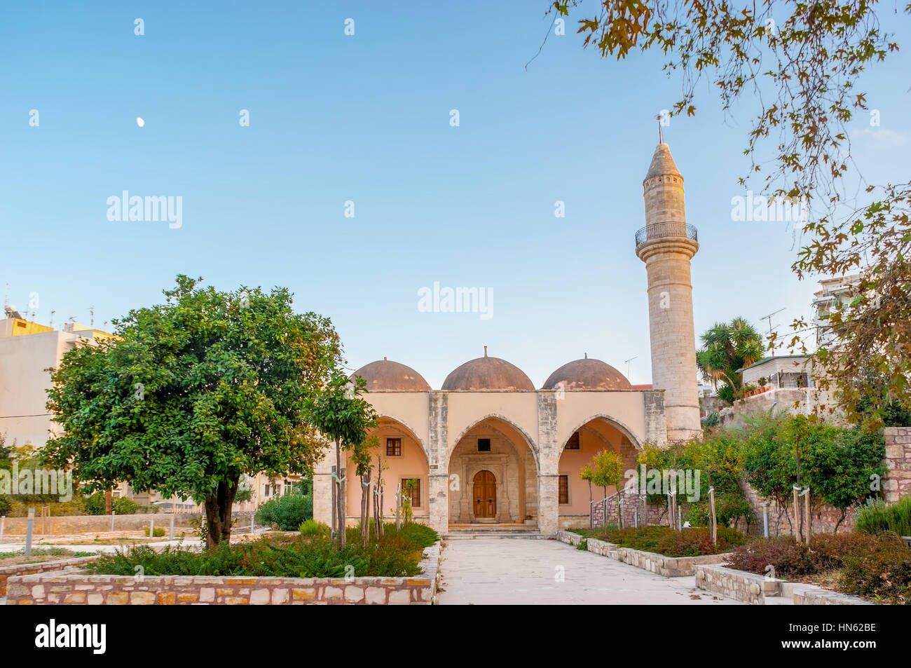 Moseum national history hi-res stock photography and images - Alamy