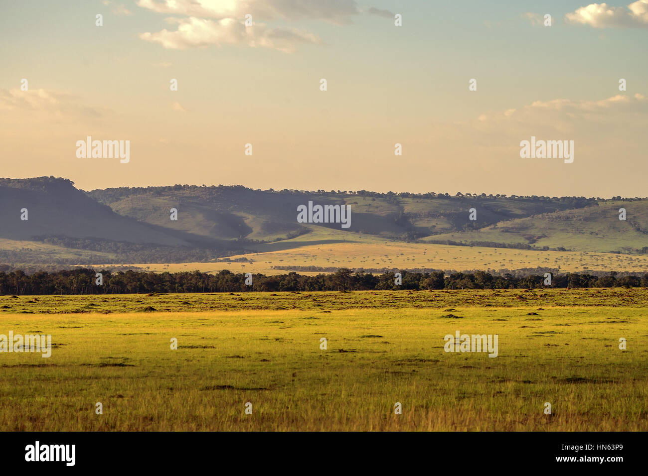 Scenic African savannah landscape in Maasai Mara, Kenya Stock Photo - Alamy