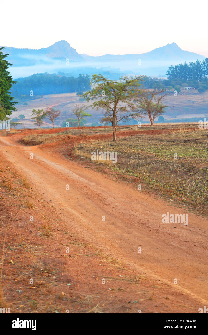 blur in swaziland mlilwane wildlife nature reserve mountain and tree ...