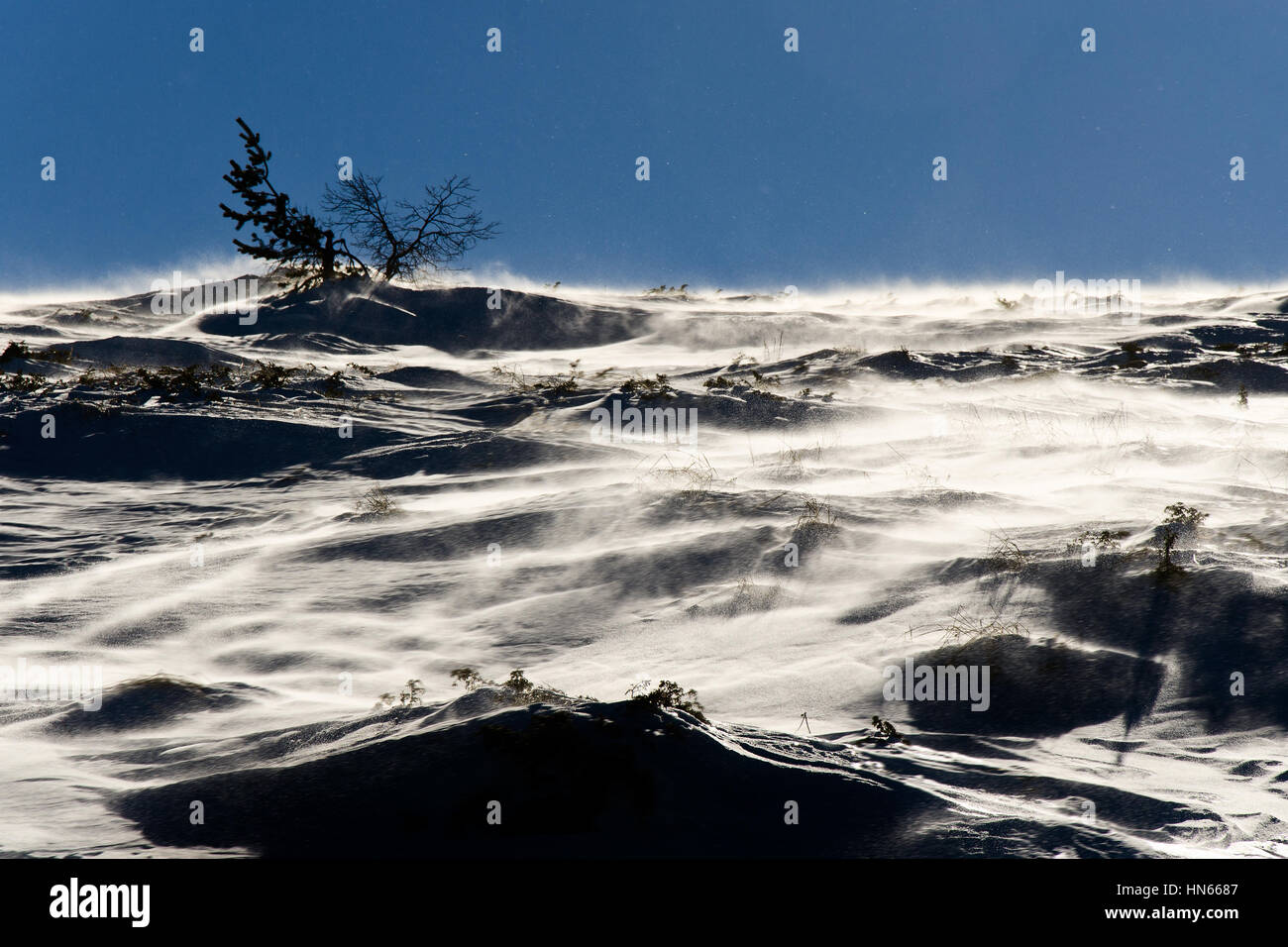 Blowing wind in snowy mountain Stock Photo - Alamy
