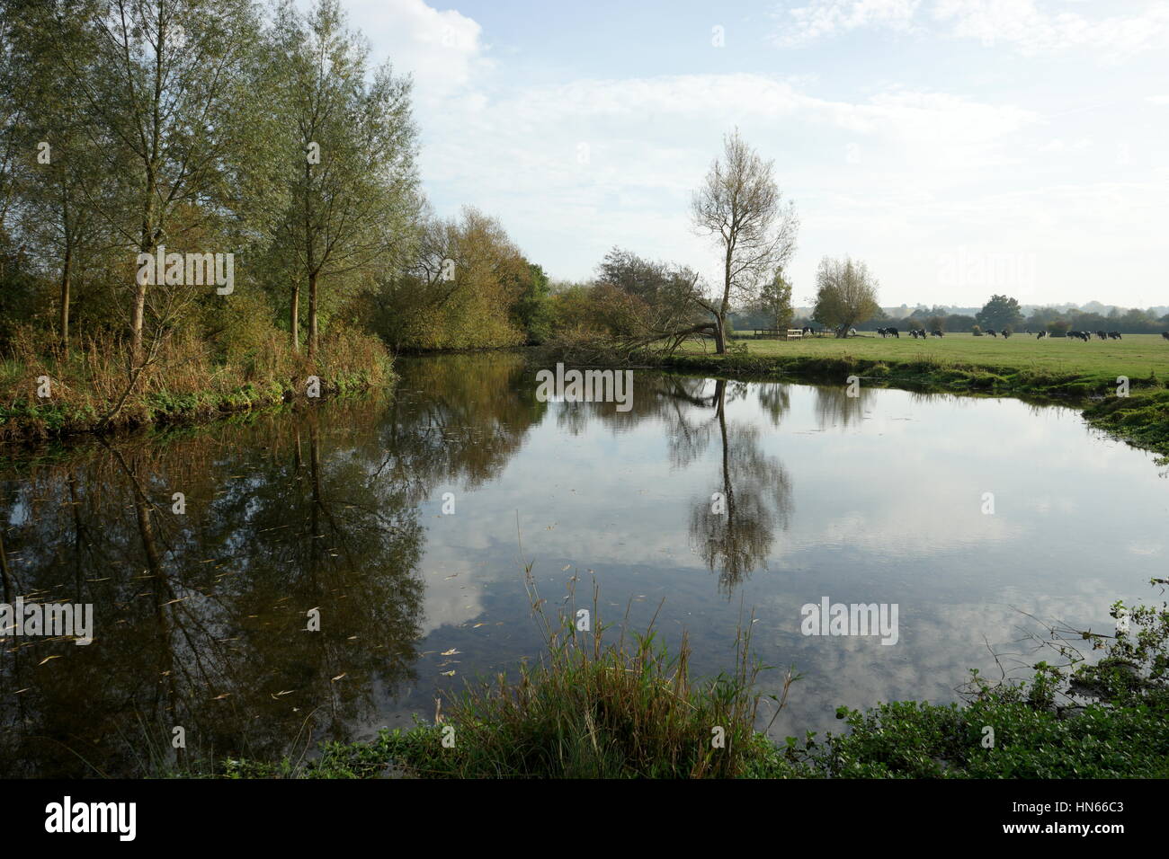 River Stour in Autumn Stock Photo - Alamy