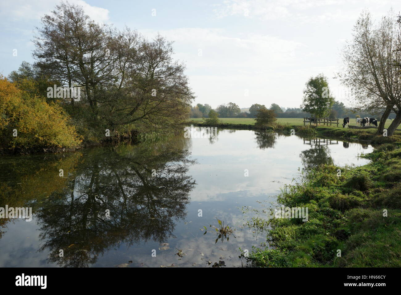 River stour autumn hi-res stock photography and images - Alamy