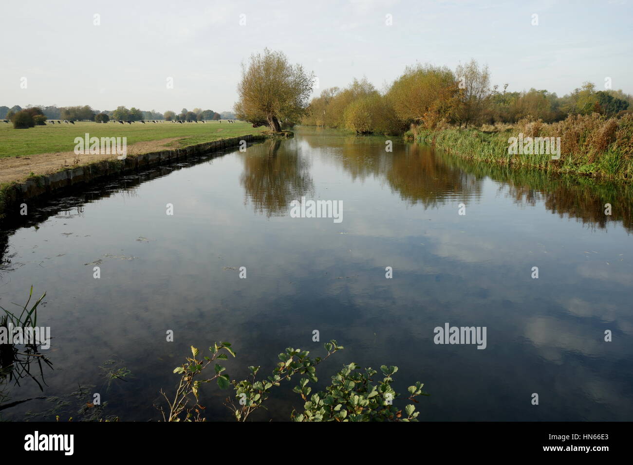 River stour suffolk hi-res stock photography and images - Alamy