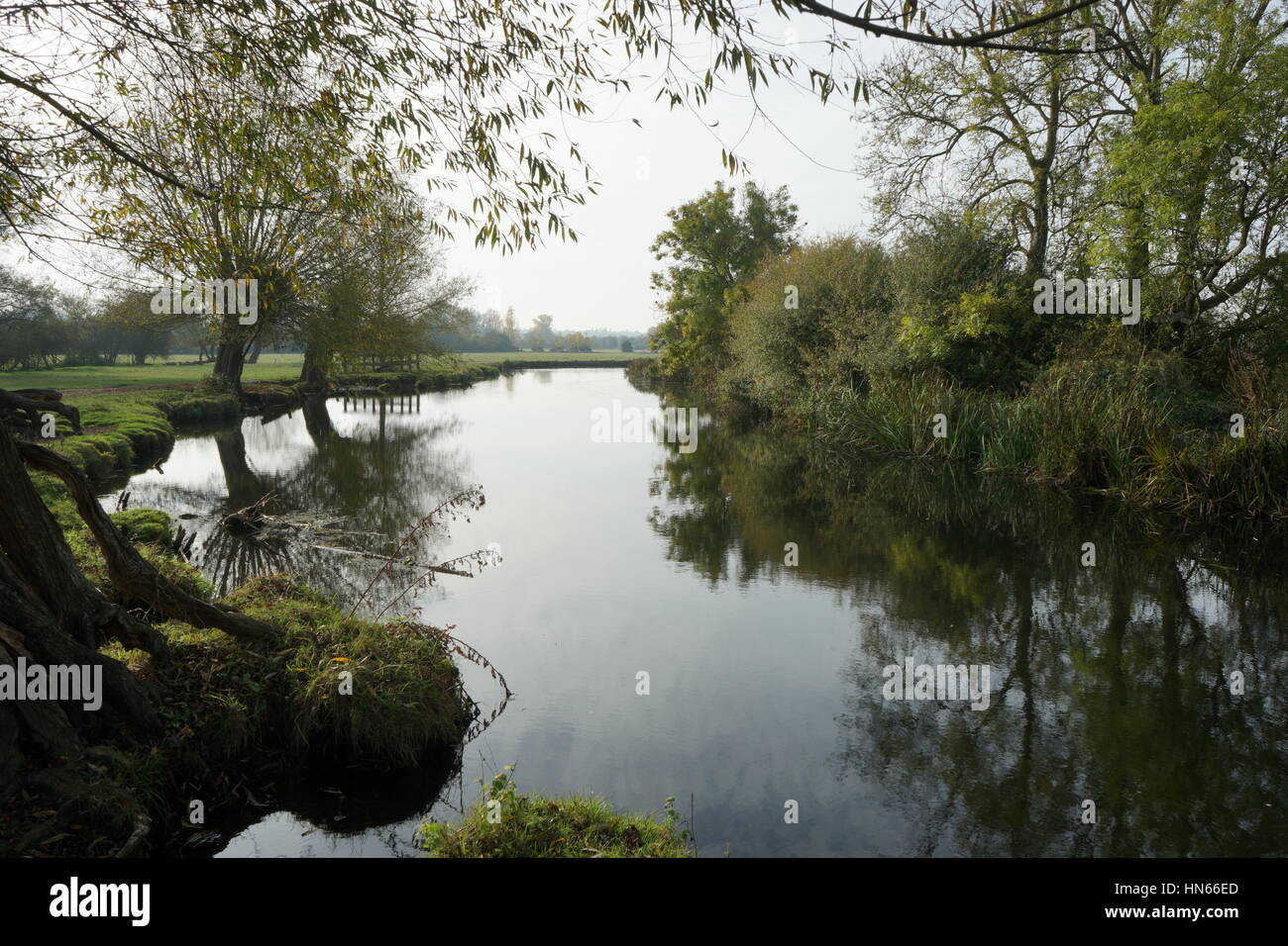 River Stour in Autumn Stock Photo - Alamy