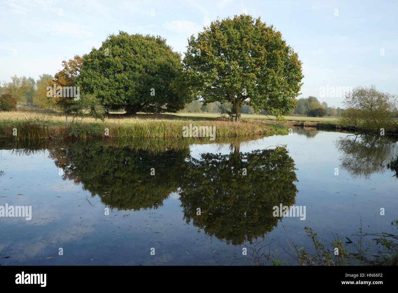 River stour autumn hi-res stock photography and images - Alamy
