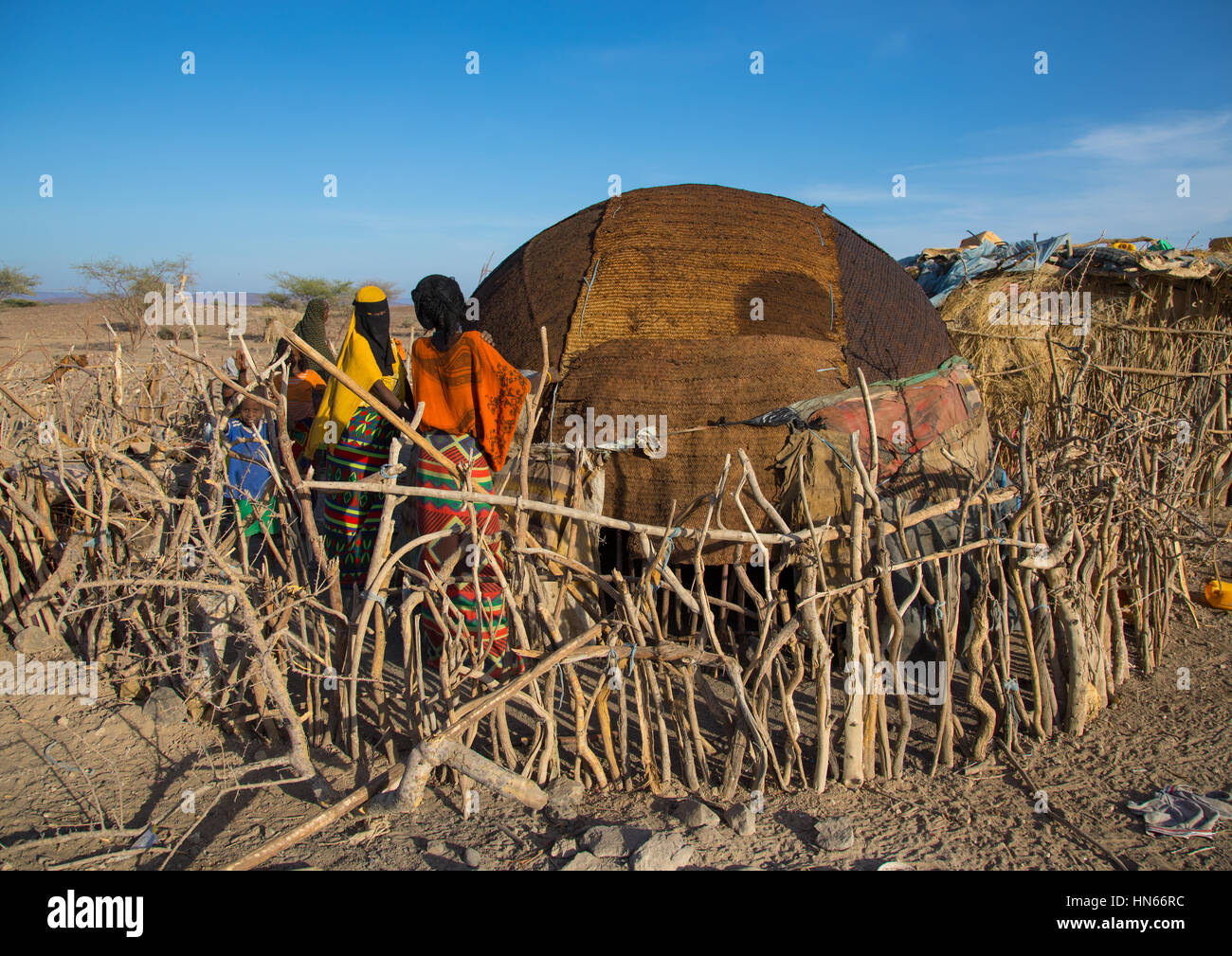Afar tribe women building a hut behind a wooden fence, Afar region ...