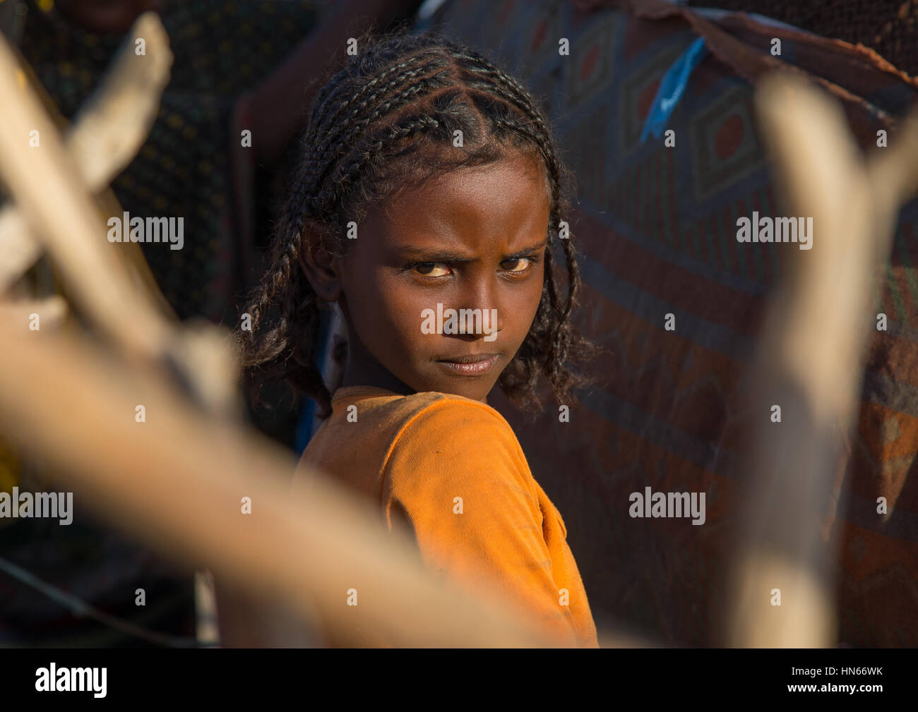 Portrait Of An Afar Tribe Girl With Braided Hair Afar Region Mile