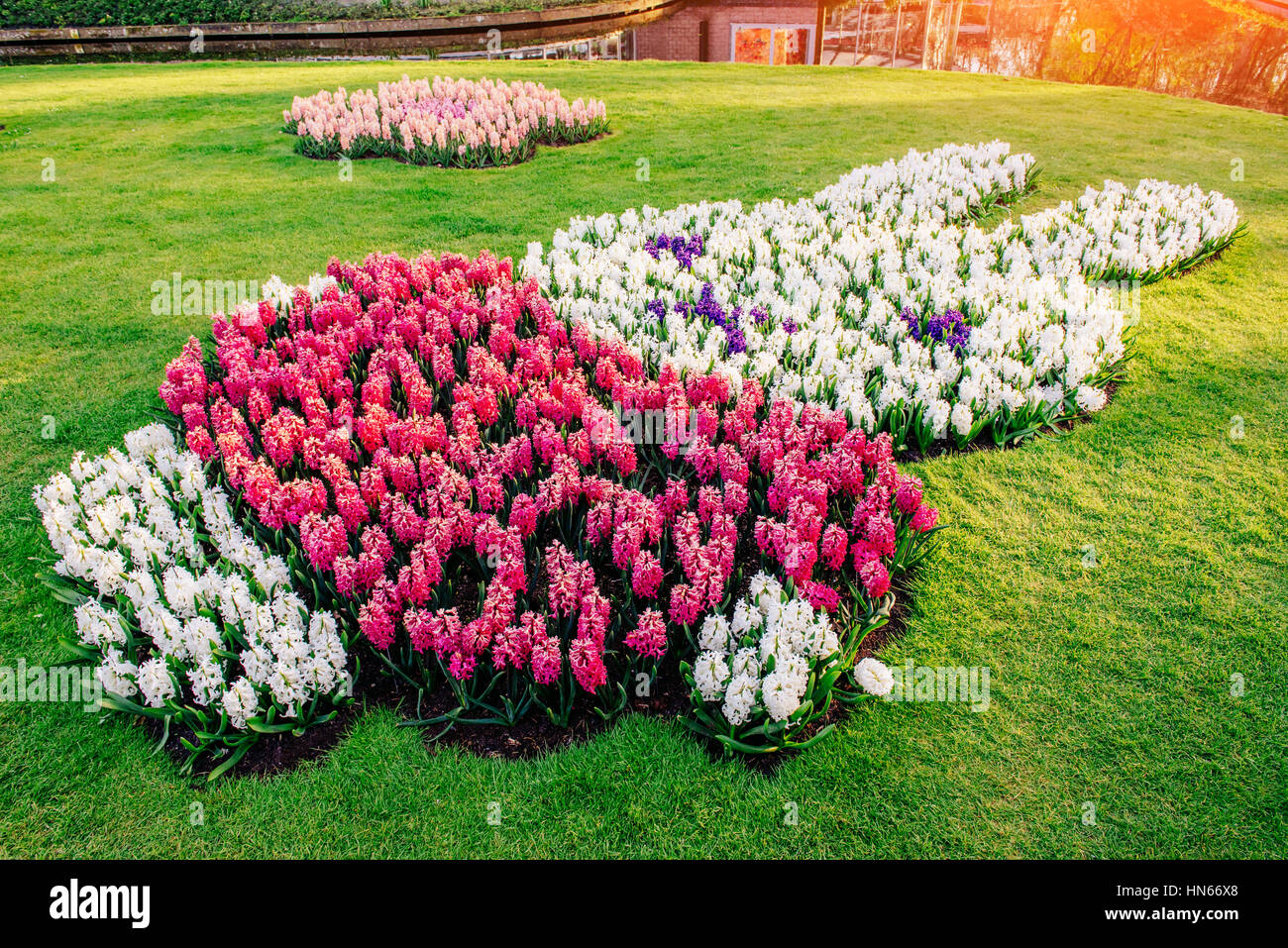 Flower-bed of spring flowers in the park Stock Photo - Alamy