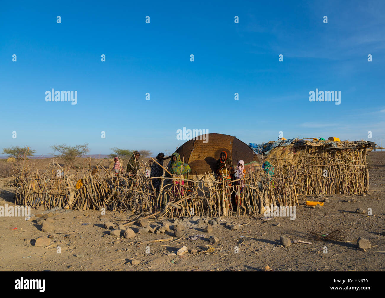 Afar tribe women building a hut behind a wooden fence, Afar region ...
