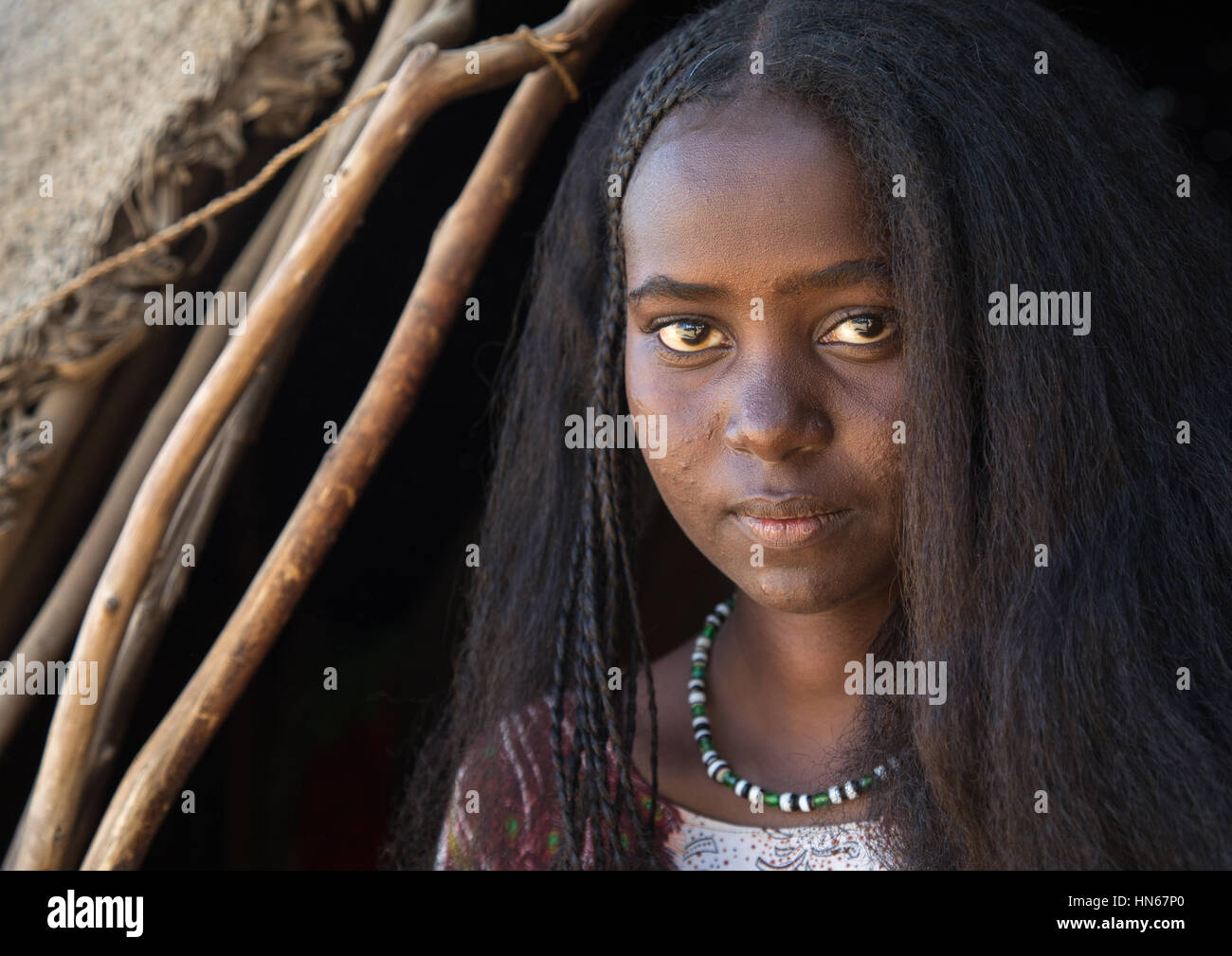 Portrait Of An Afar Tribe Girl With Braided Hair Afar Region Afambo