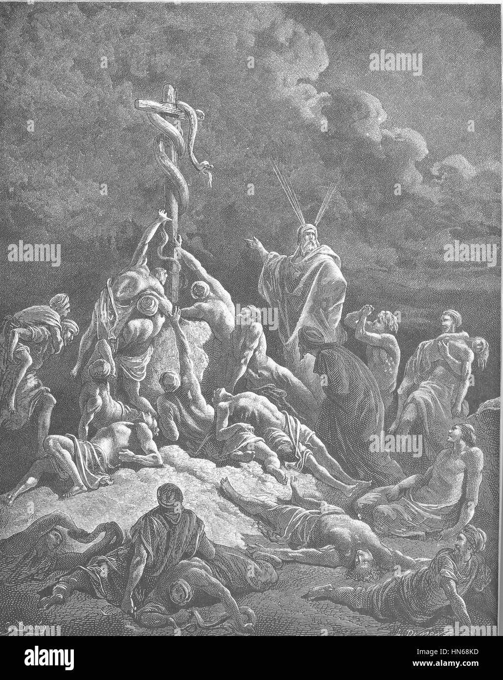 Serpent sketch hi-res stock photography and images - Alamy