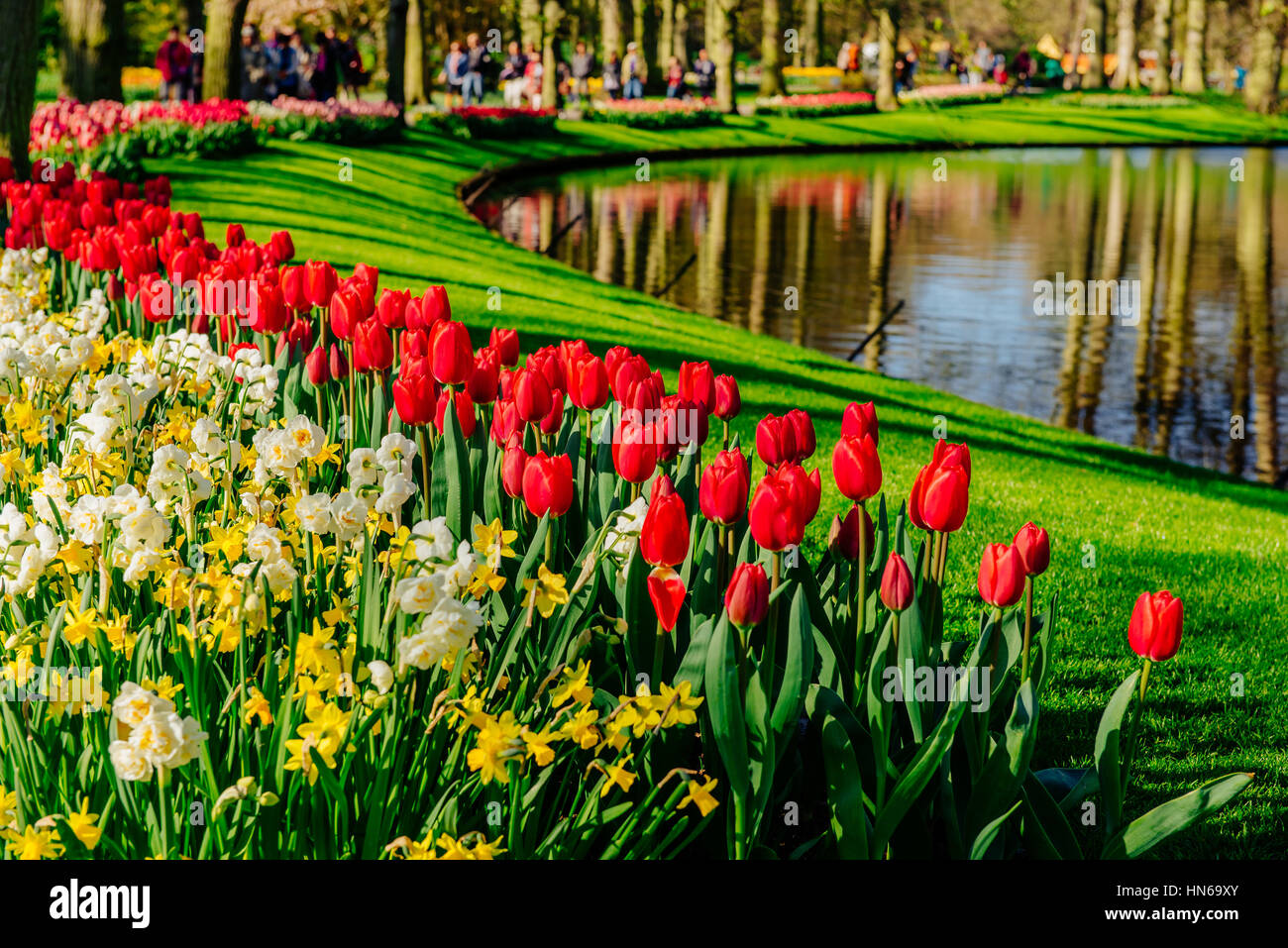 lovely spring landscape park. Blooming flowers Stock Photo - Alamy