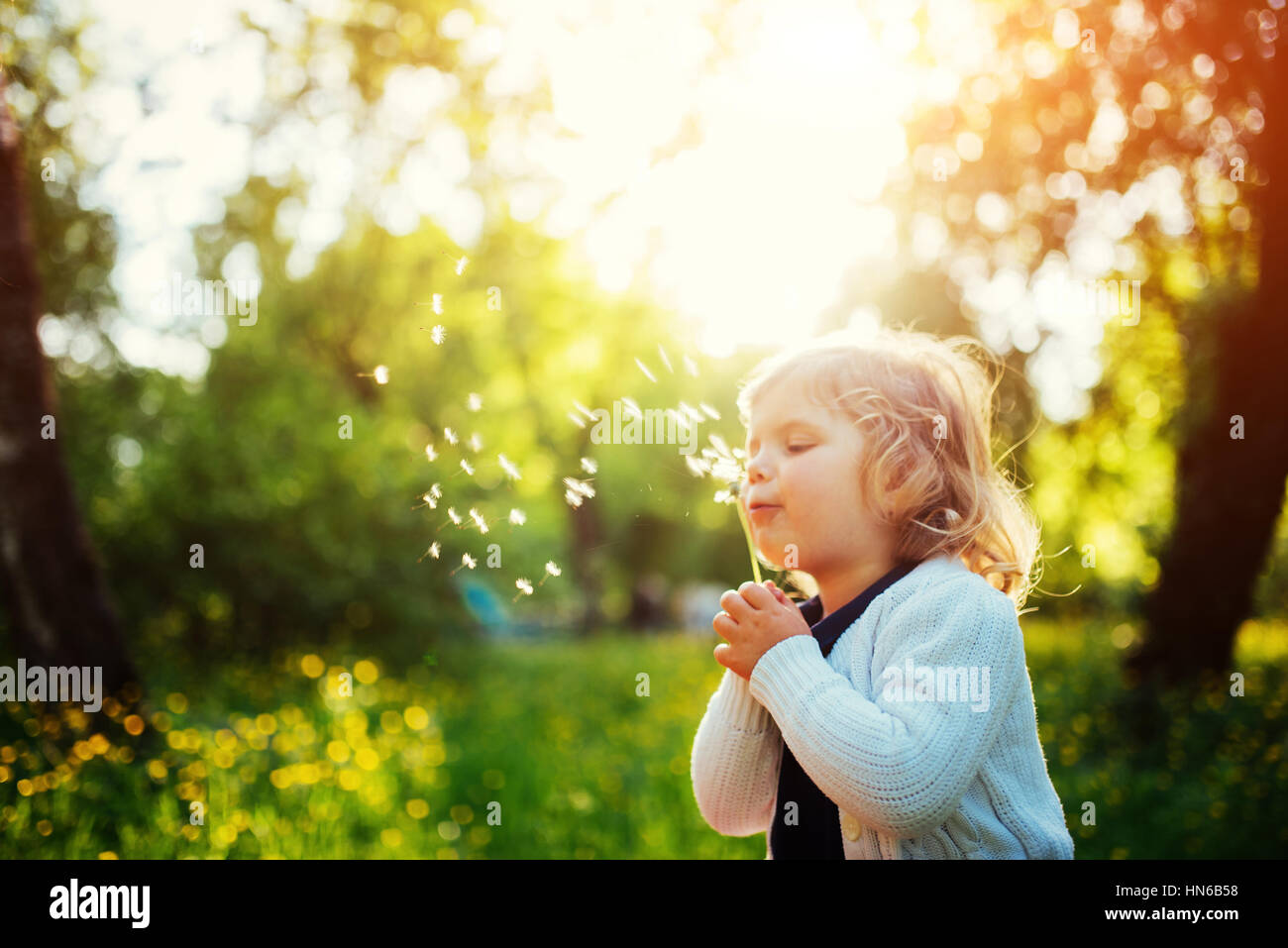 child with dandelion Stock Photo - Alamy