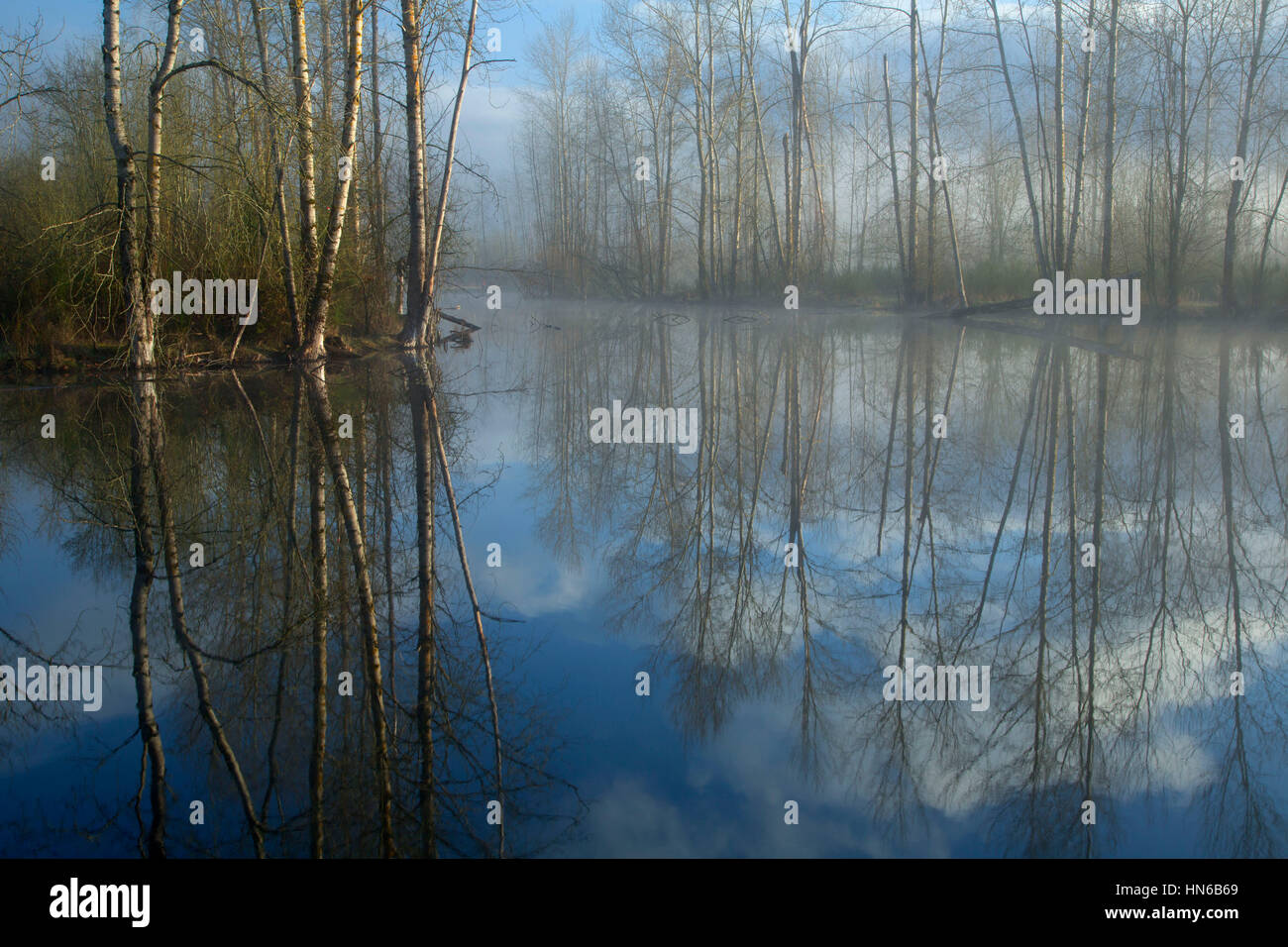Pond, St Louis Ponds Wildlife Area, Oregon Stock Photo - Alamy