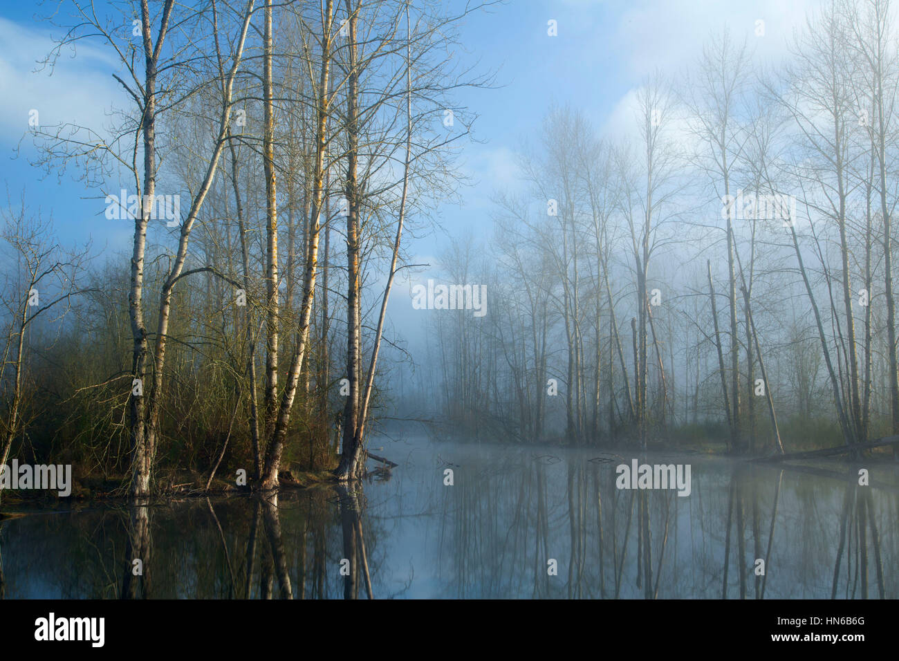 Woodburn pond wildlife area hi-res stock photography and images - Alamy