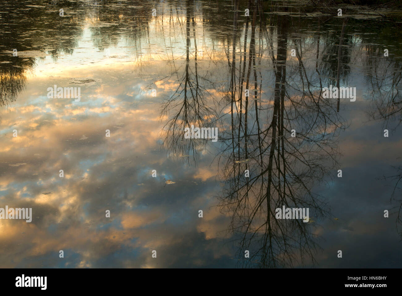 Dawn reflection across St Louis Ponds, St Louis Ponds Public Fishing ...