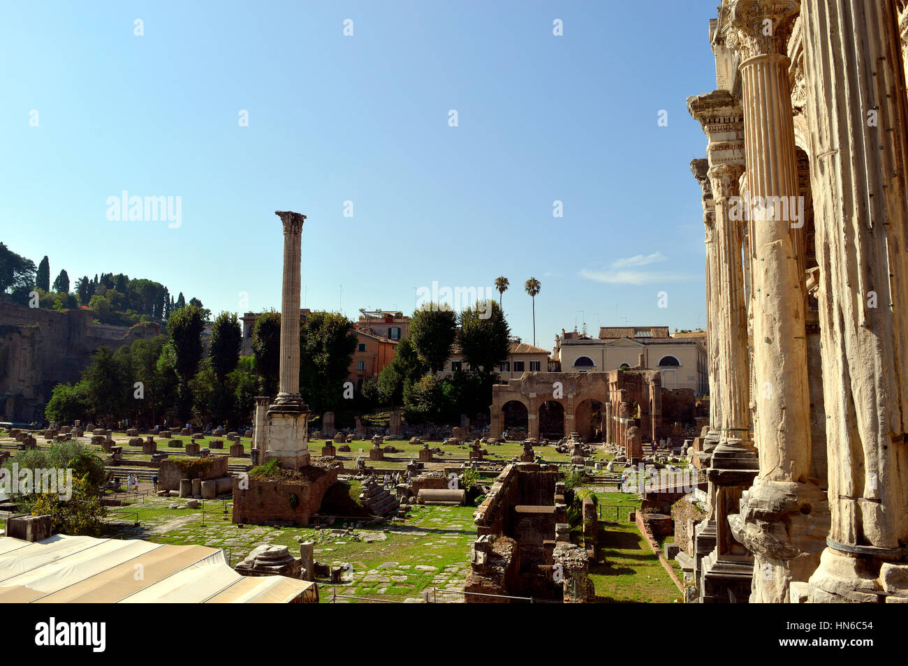 Roman Forum ruins in the center of Rome Stock Photo - Alamy