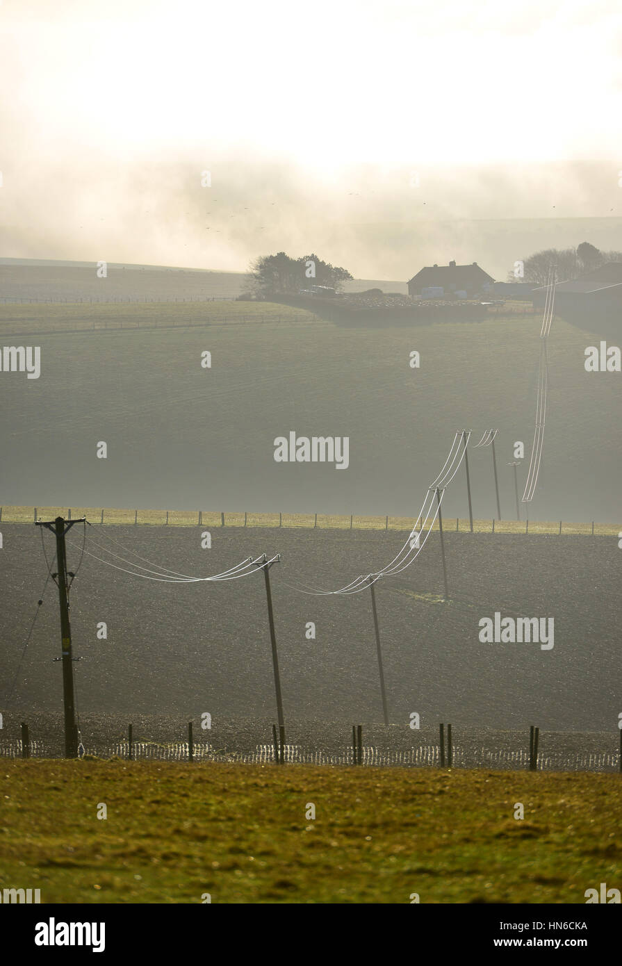 Power lines linking a small remote farm to the national grid, South ...