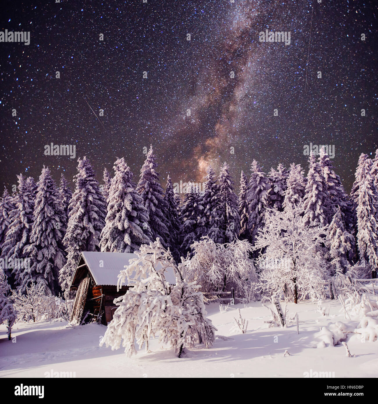 Starry sky and a tree in frost at the beautiful house in the woods in ...