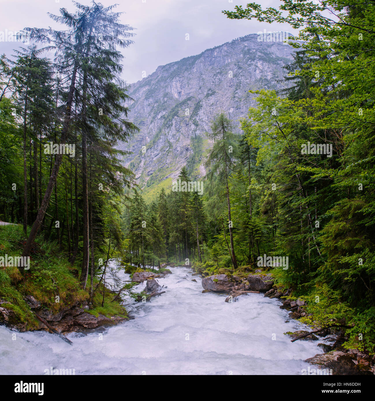 National reserve defile hi-res stock photography and images - Alamy