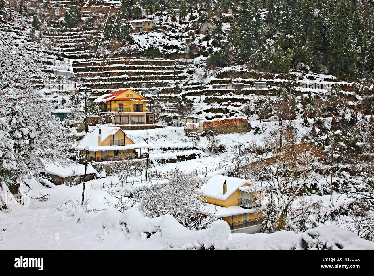 Houses on the edge of Tornos village, Evrytania, Central Greece Stock ...