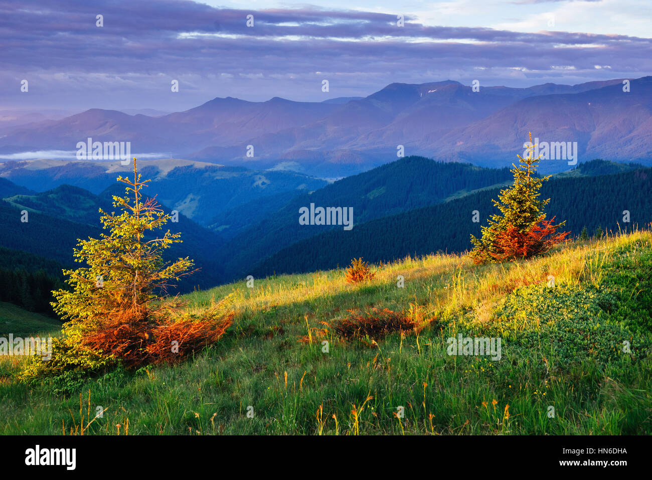Fantastic sunset in the mountains of Ukraine Stock Photo - Alamy