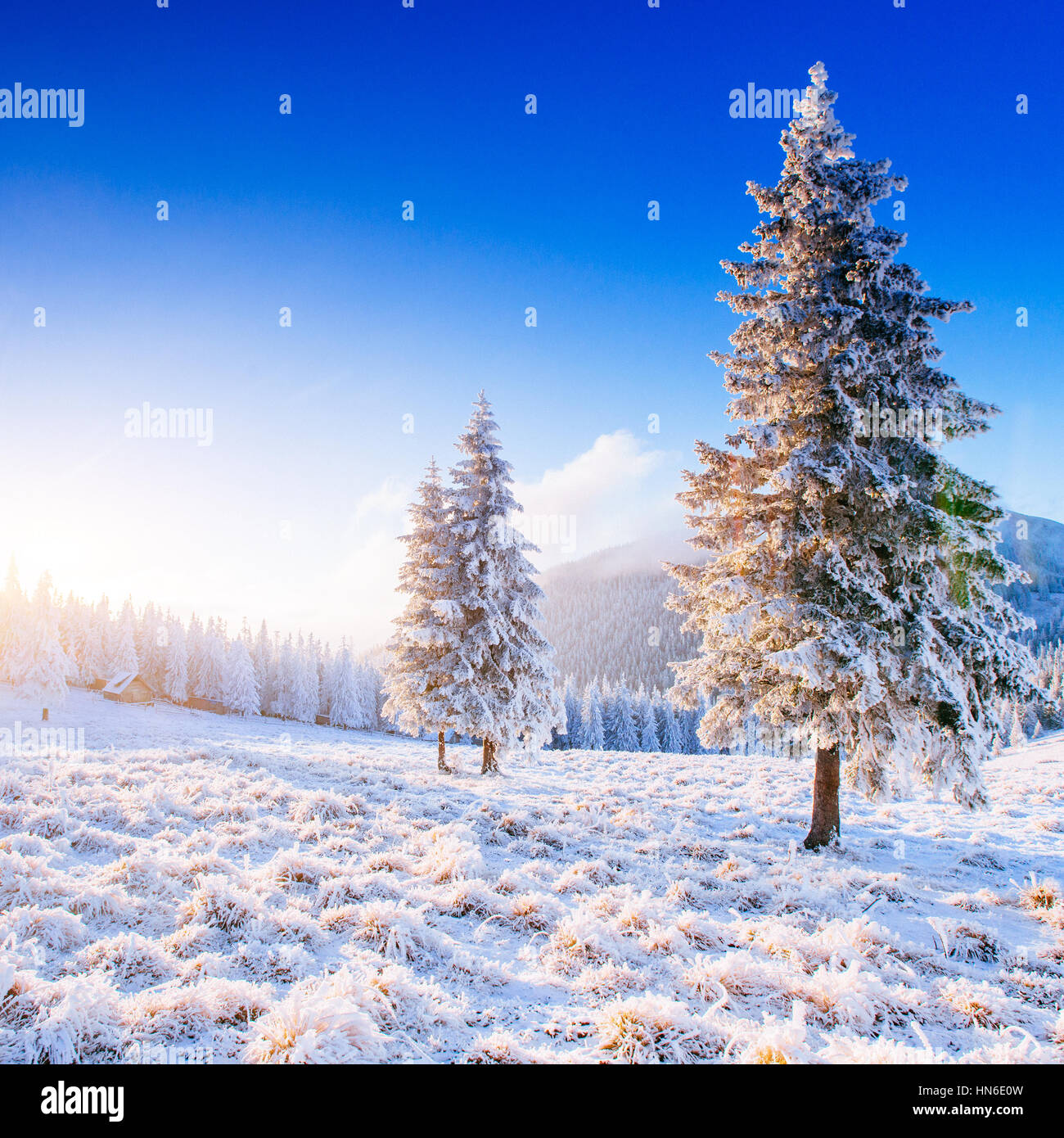 sunny winter landscape Stock Photo - Alamy
