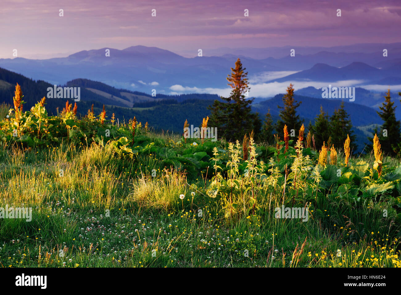 Fantastic sunset in the mountains of Ukraine Stock Photo - Alamy