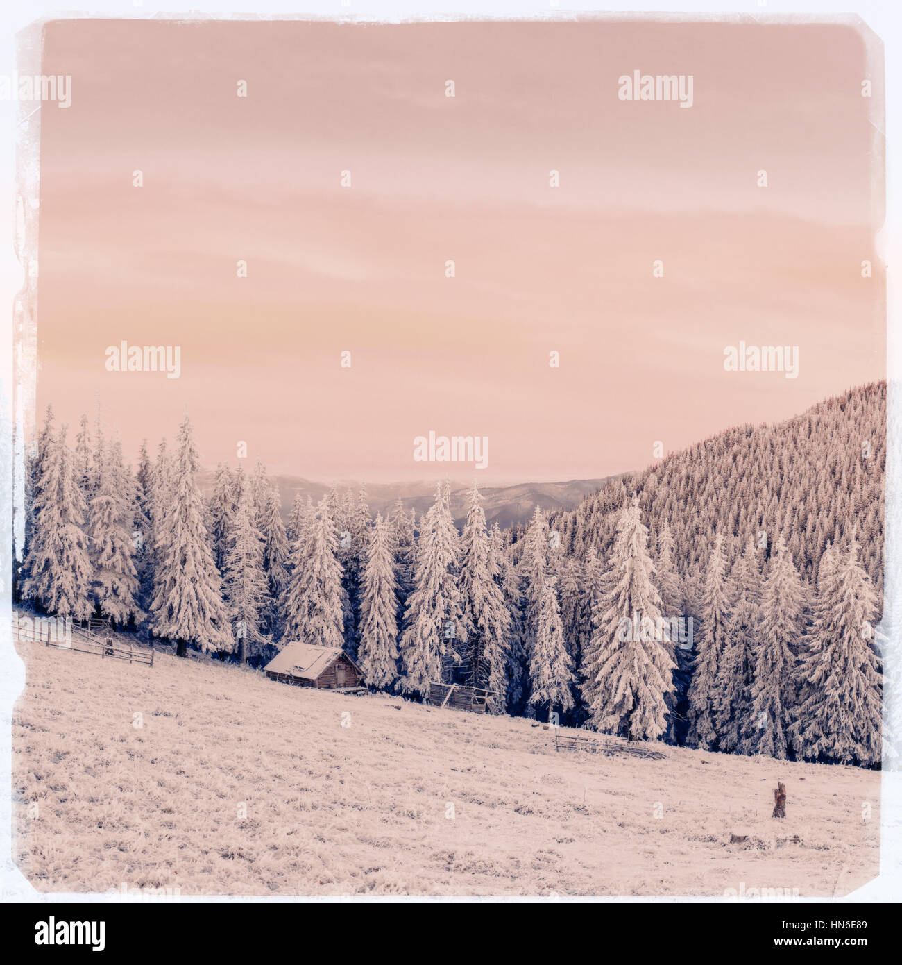 Winter landscape with snow in mountains Carpathians, Ukraine. Vi Stock ...
