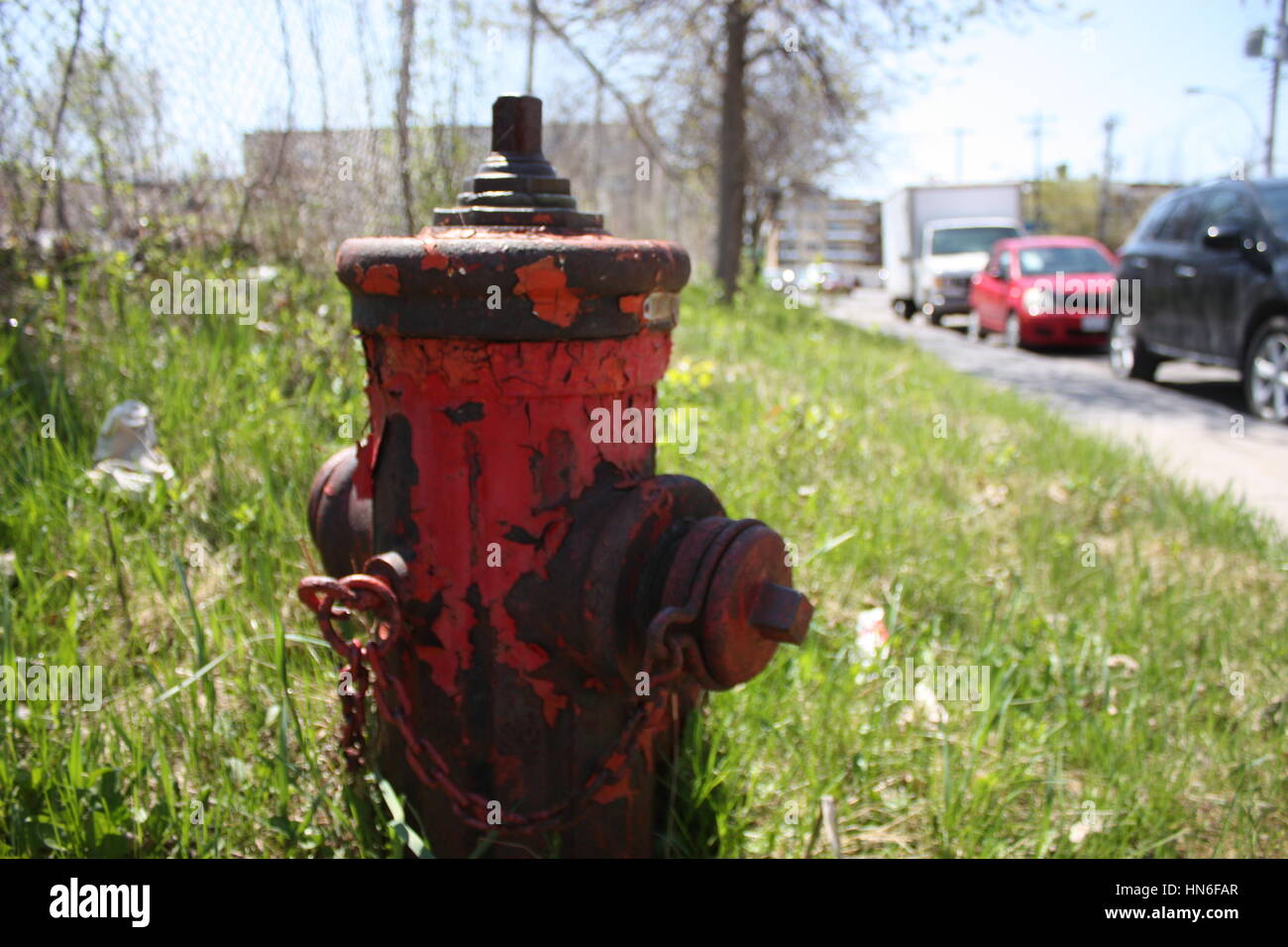 fire hydrant in spring Stock Photo - Alamy