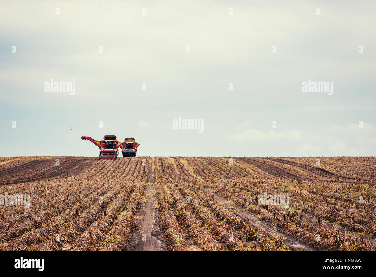 Tractors working in the field hi-res stock photography and images - Alamy