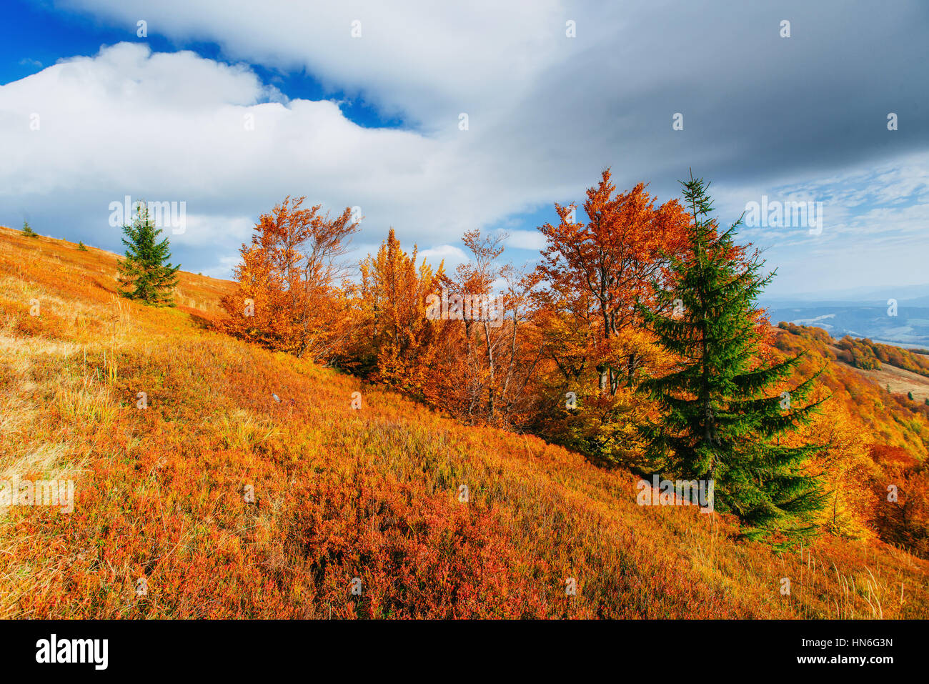 rock massif in the Carpathians Stock Photo - Alamy