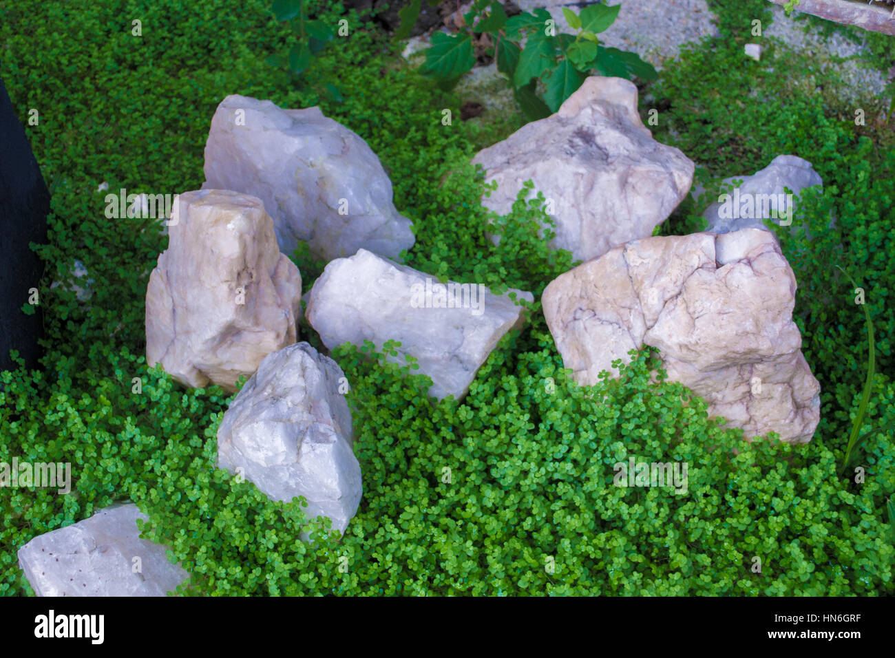 Grass stone hi-res stock photography and images - Alamy