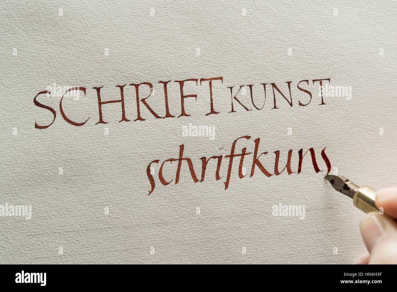 Calligraphy studio, hand writes text with ink, pen and nib, Roman ...