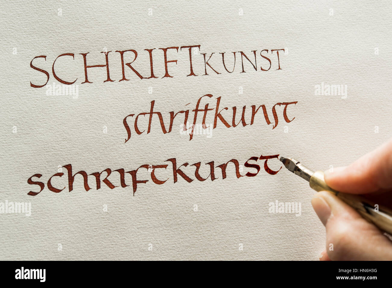 Calligraphy studio, hand writes text with ink, pen and nib, insular ...