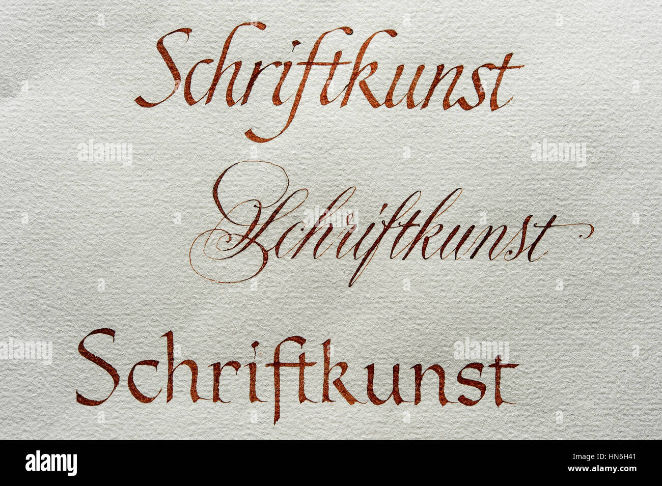Calligraphy studio, fonts, Cancellaresca, Anglaise, Antiqua on Ingres ...