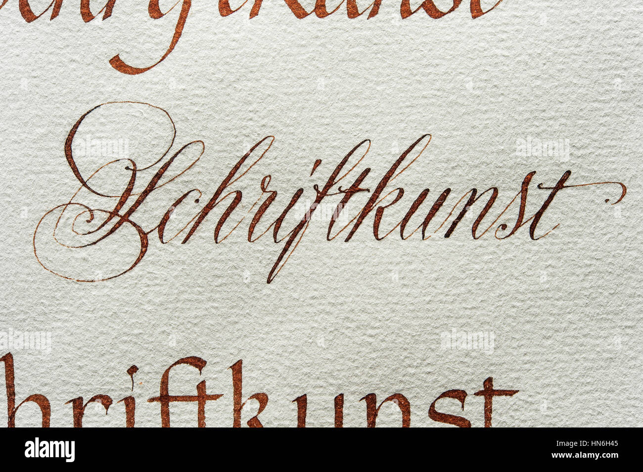 Calligraphy studio, fonts, Cancellaresca, Anglaise, Antiqua on Ingres ...