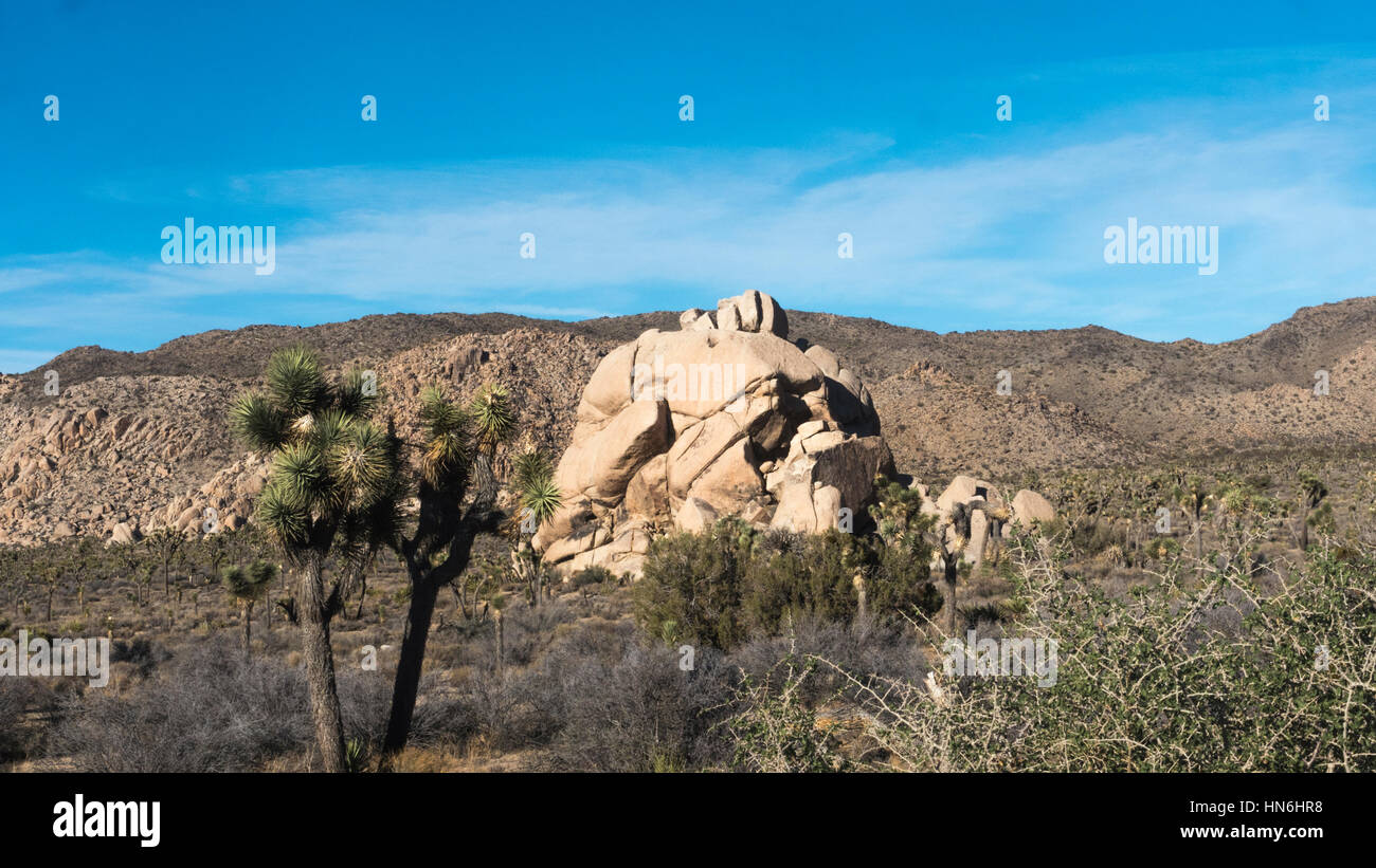Big rock in joshua tree national park, California, USA Stock Photo - Alamy