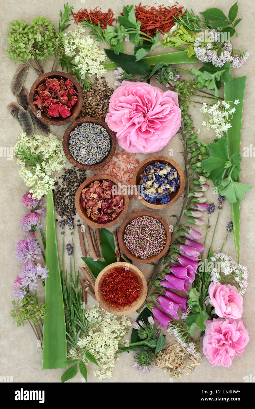 Natural herbal medicine selection with dried and fresh flowers and ...