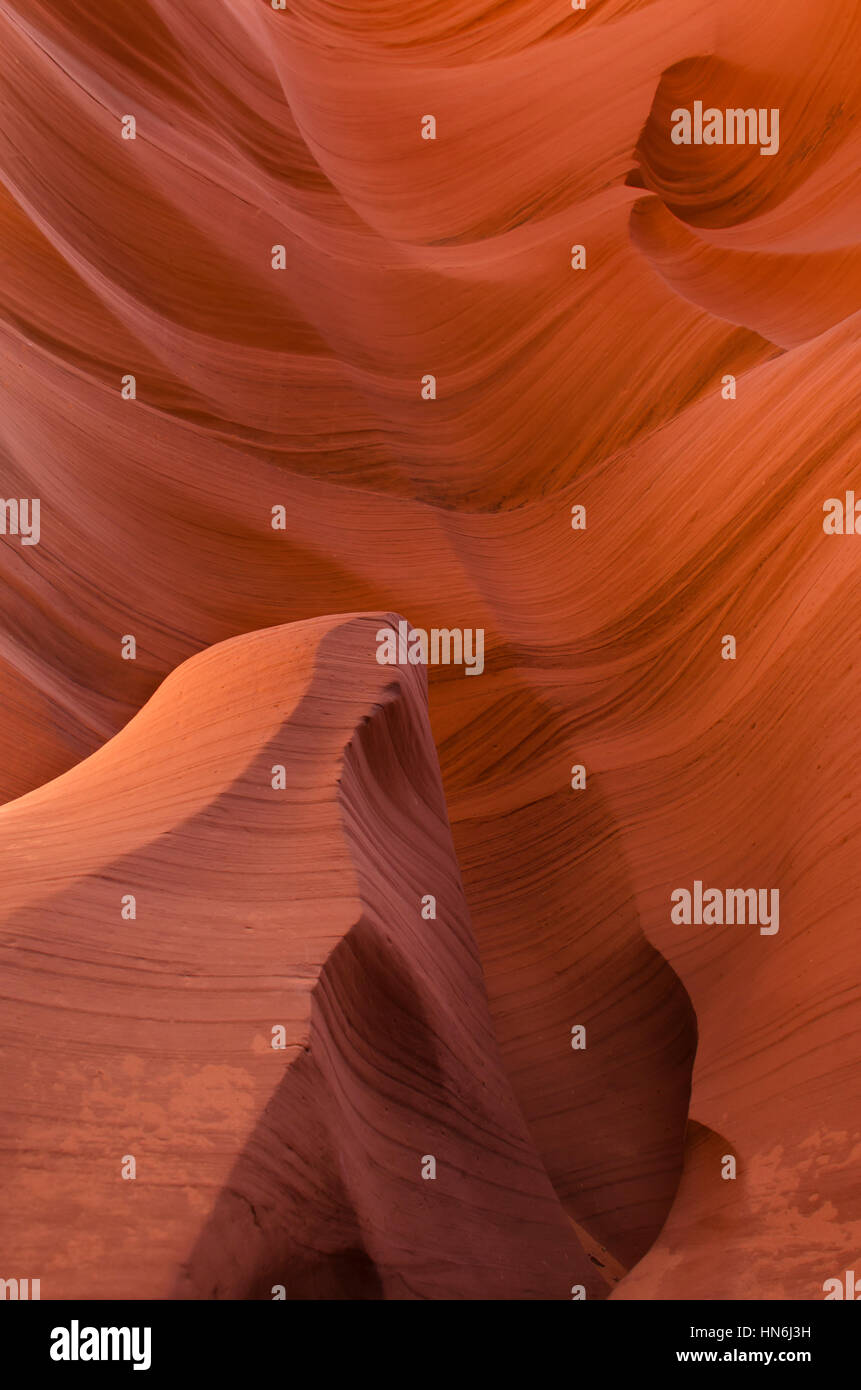 Beautiful shapes hi-res stock photography and images - Alamy