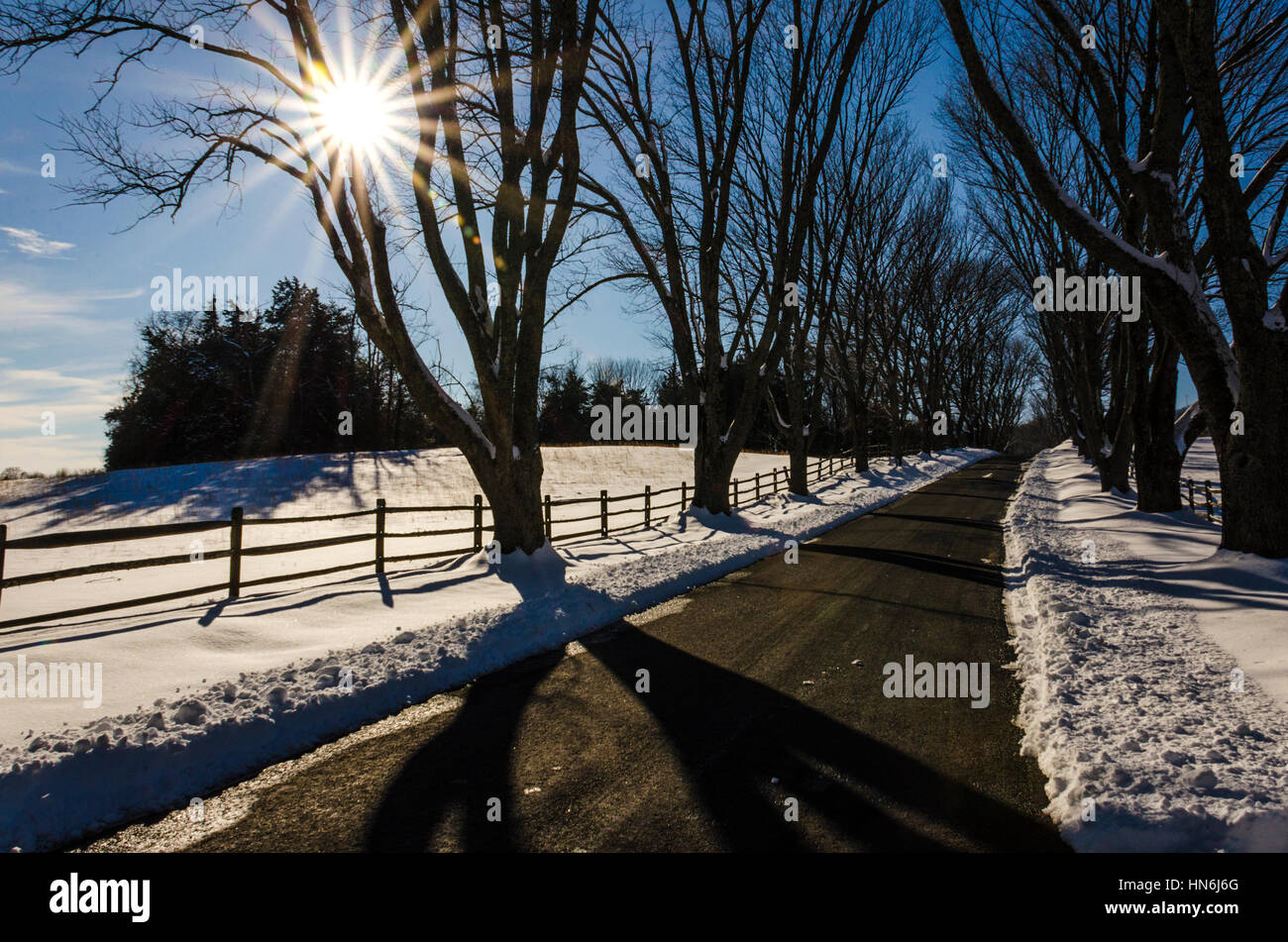 A road with sunset leading to Ash Lawn-Highland, Home of President ...