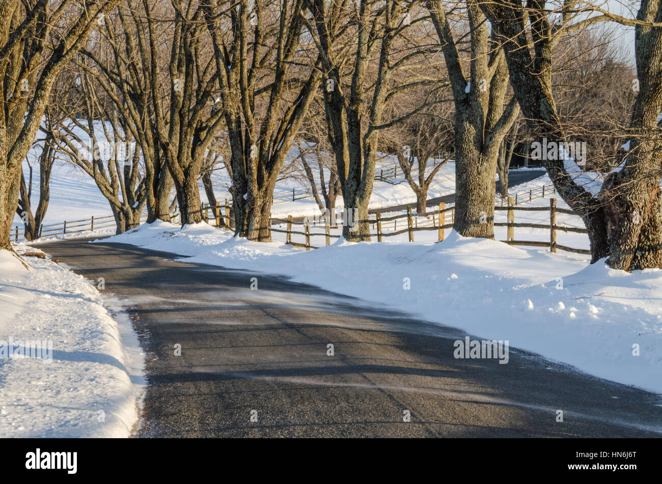 A road leading to Ash Lawn-Highland, Home of President James Monroe ...