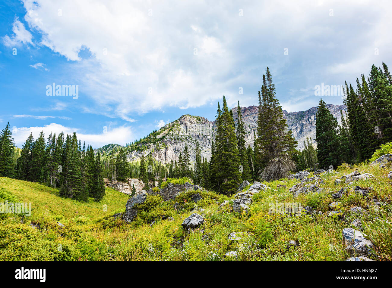 Albion Basin landscape scenery with alpine meadows and stormy sky ...