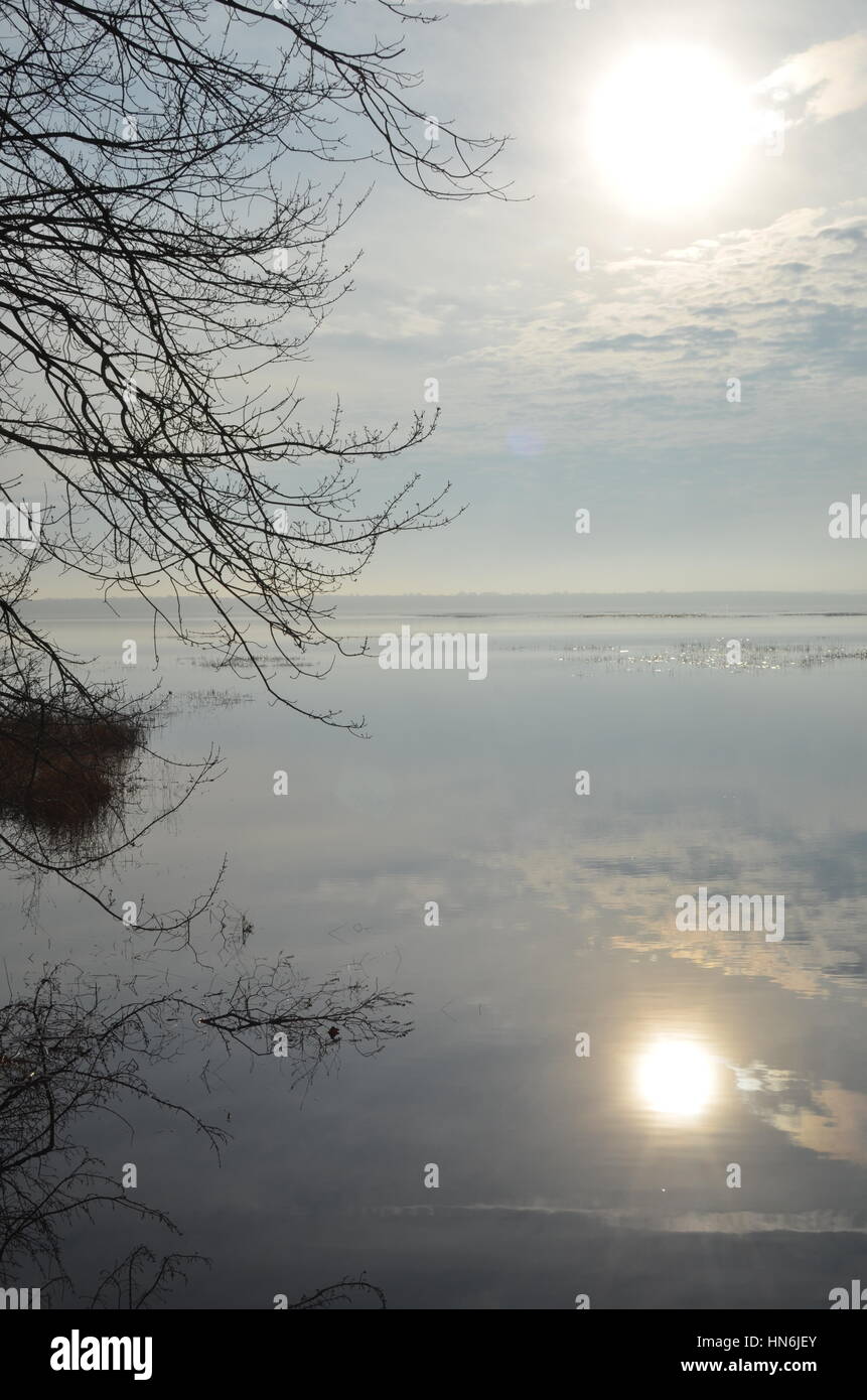 Pond water reflection hi-res stock photography and images - Alamy